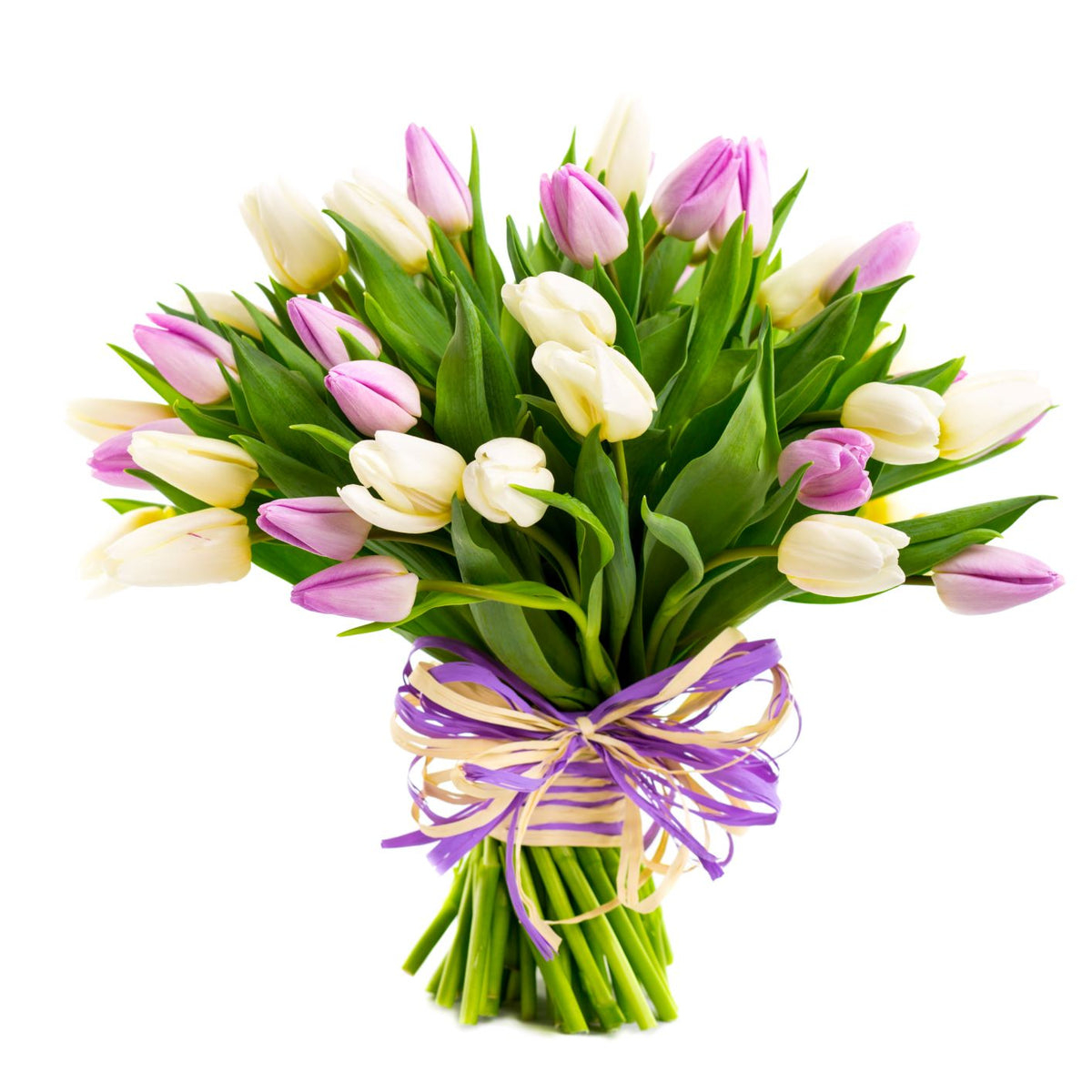 Stunning Spring Tulips – Laidley Florist